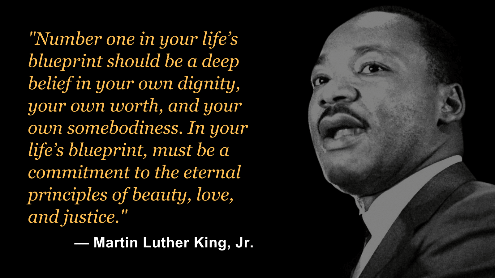 Honoring Dr. King’s Vision Together: A Day of Service and Reflection ...
